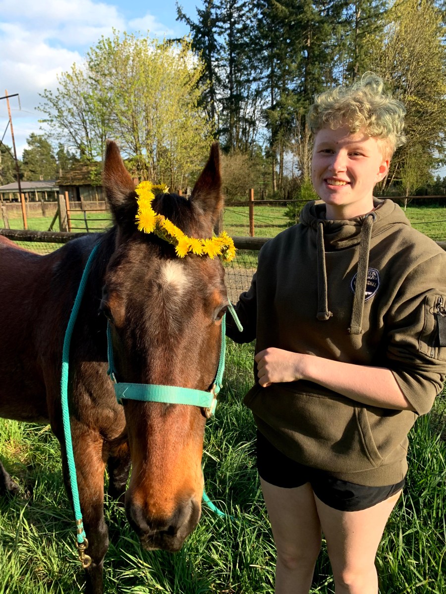 Welcome to Littlerock Stables